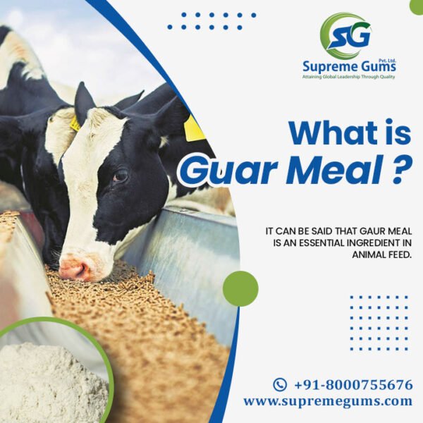 Home / Guar Gum / What Is Guar Meal (Korma) & Its Uses