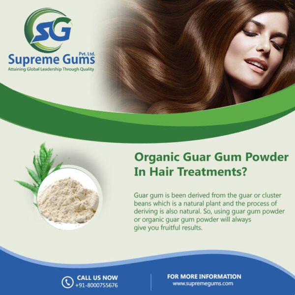 Home / blog / How To Use Organic Guar Gum Powder In Hair Treatments?
